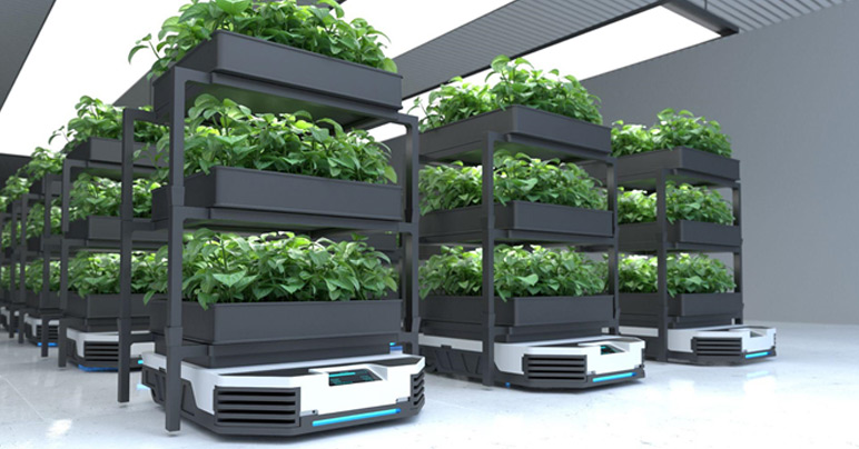 Know What Vertical Farming Grow Racks Are?